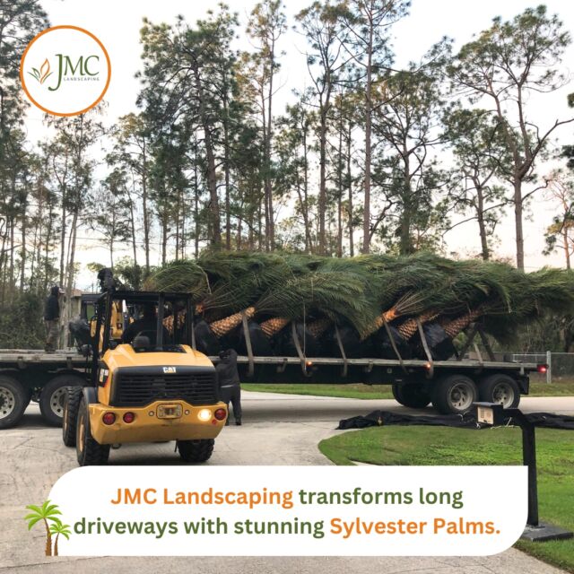 JMC Landscaping & Nursery in Florida | Plants & Flowering Photos